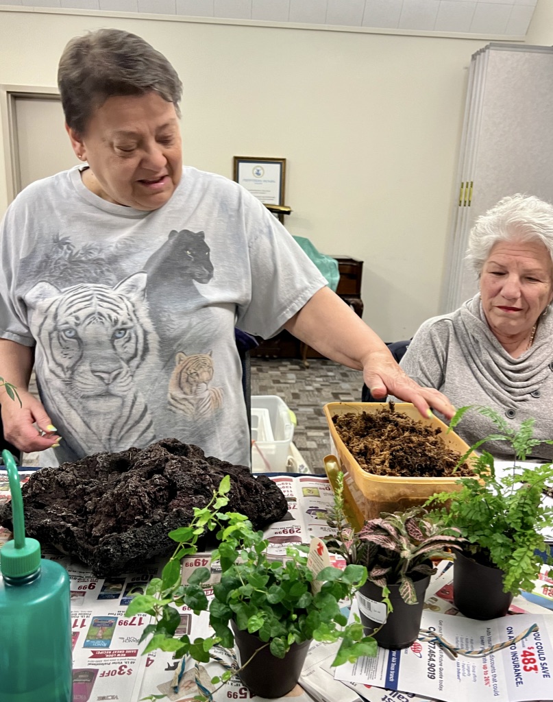Learning – First African Violet Society of Denton
